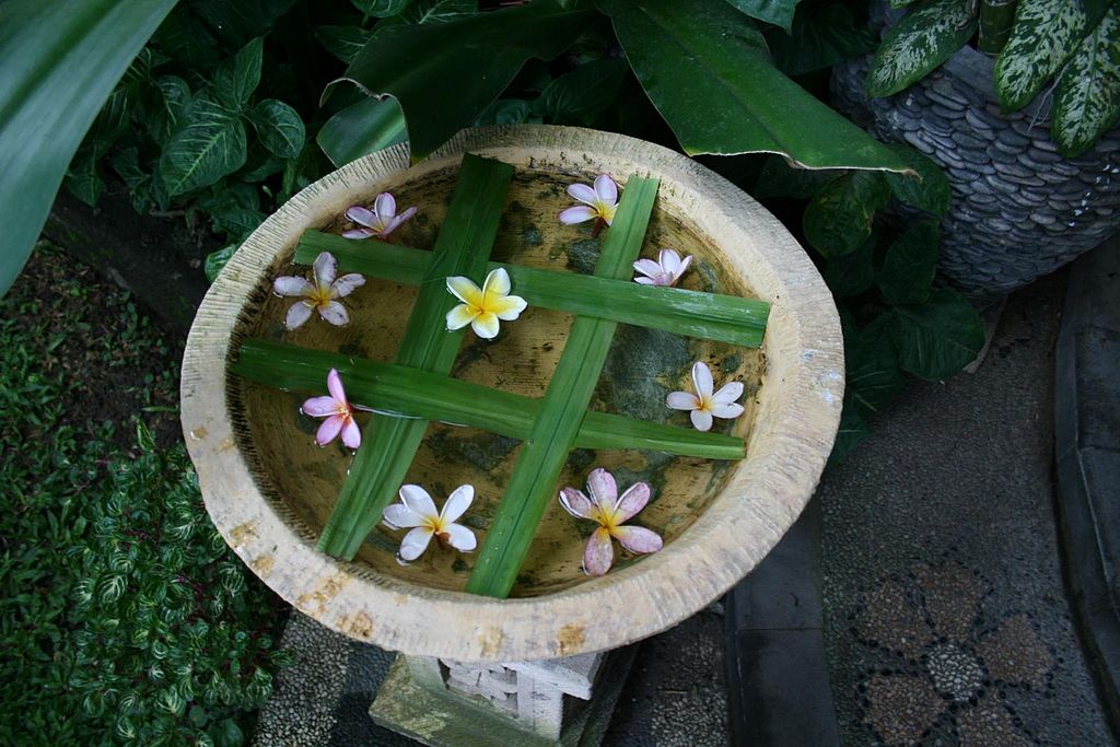 Inilah 5 Fakta Menarik Bunga Kamboja yang Identik dengan Masyarakat Bali