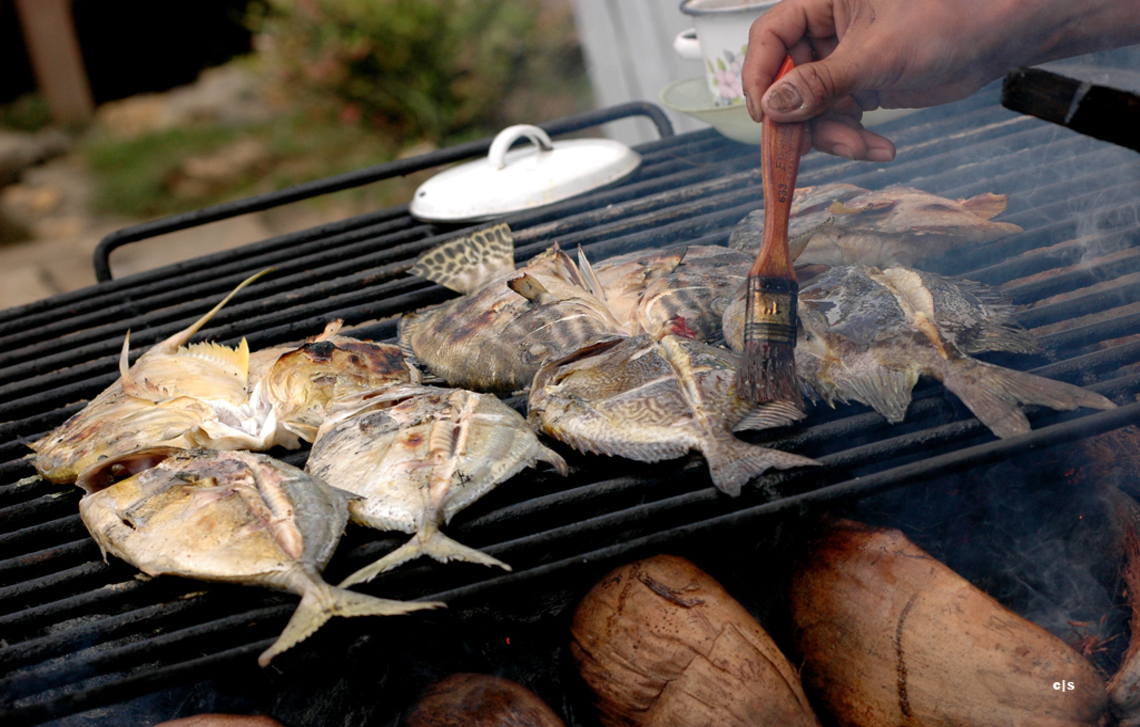 Mengenal Ikan Dingkis, Simbol Kesejahteraan Tahun Baru Imlek di ...