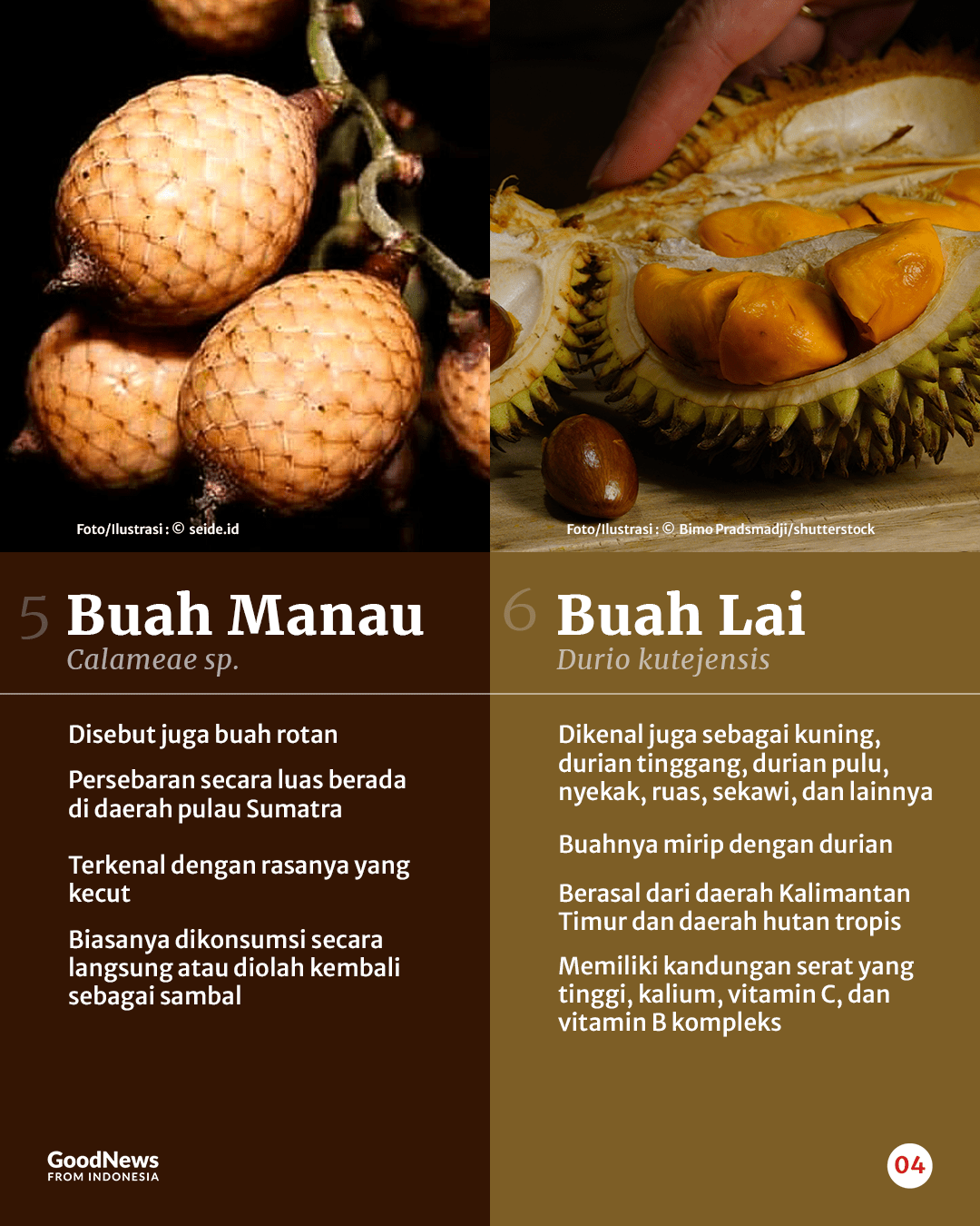 10 Buah Unik di Indonesia yang Wajib Kamu Coba