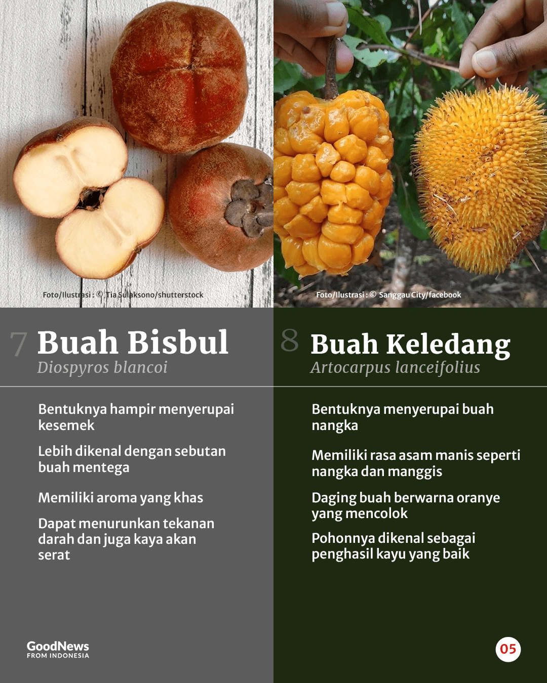 10 Buah Unik di Indonesia yang Wajib Kamu Coba