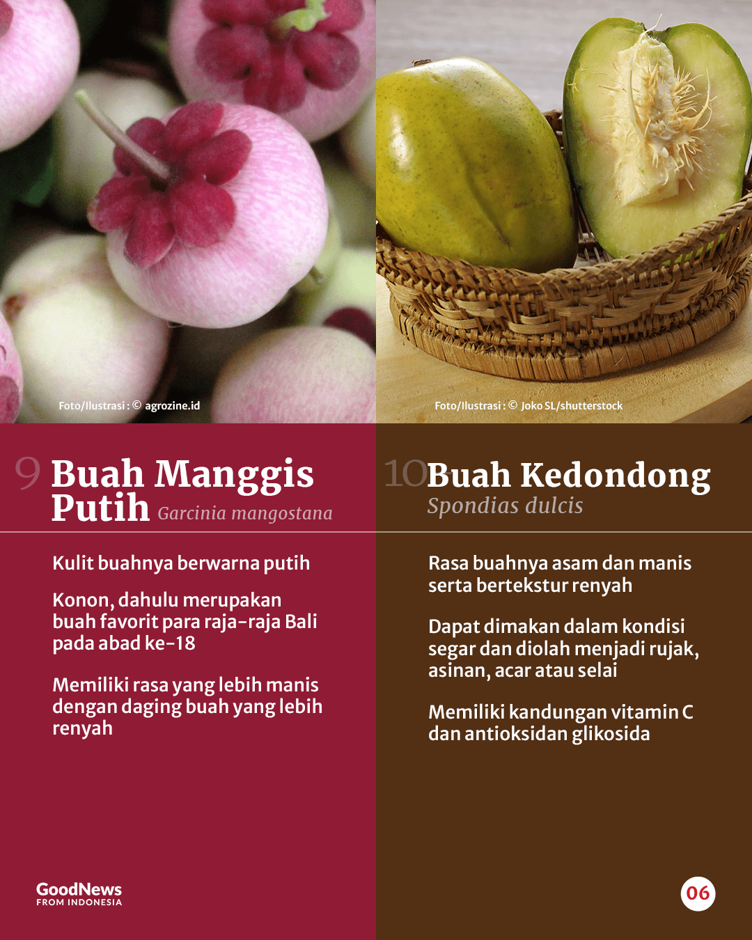 10 Buah Unik di Indonesia yang Wajib Kamu Coba