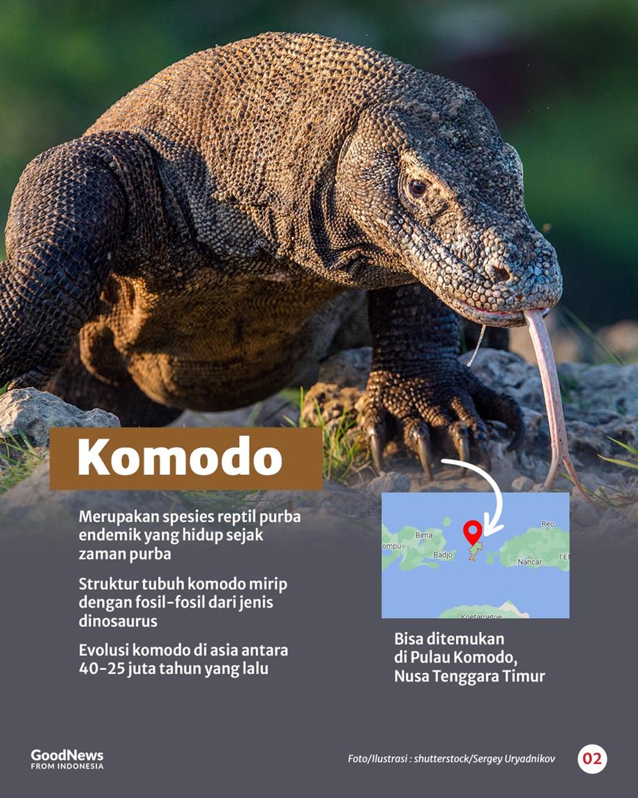 5 Hewan Purba yang Masih Hidup di Indonesia