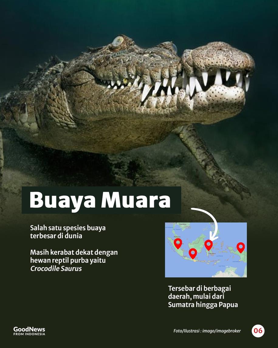 5 Hewan Purba yang Masih Hidup di Indonesia