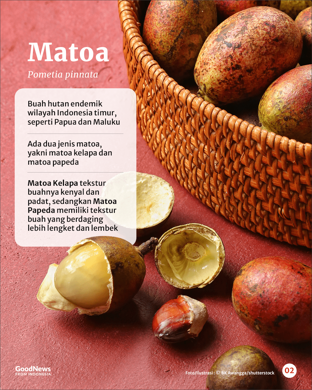 6 Buah Khas dari Hutan Indonesia