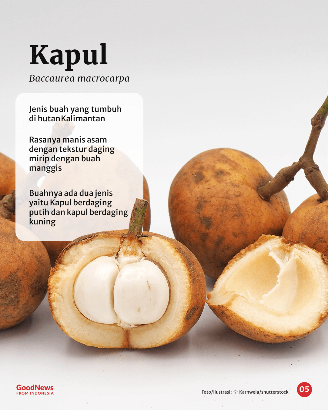 6 Buah Khas dari Hutan Indonesia