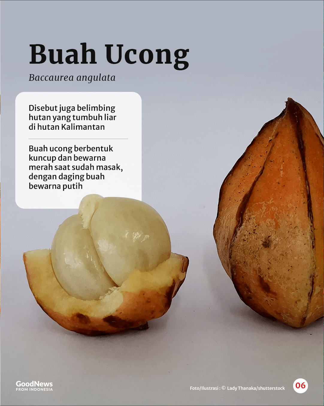 6 Buah Khas dari Hutan Indonesia