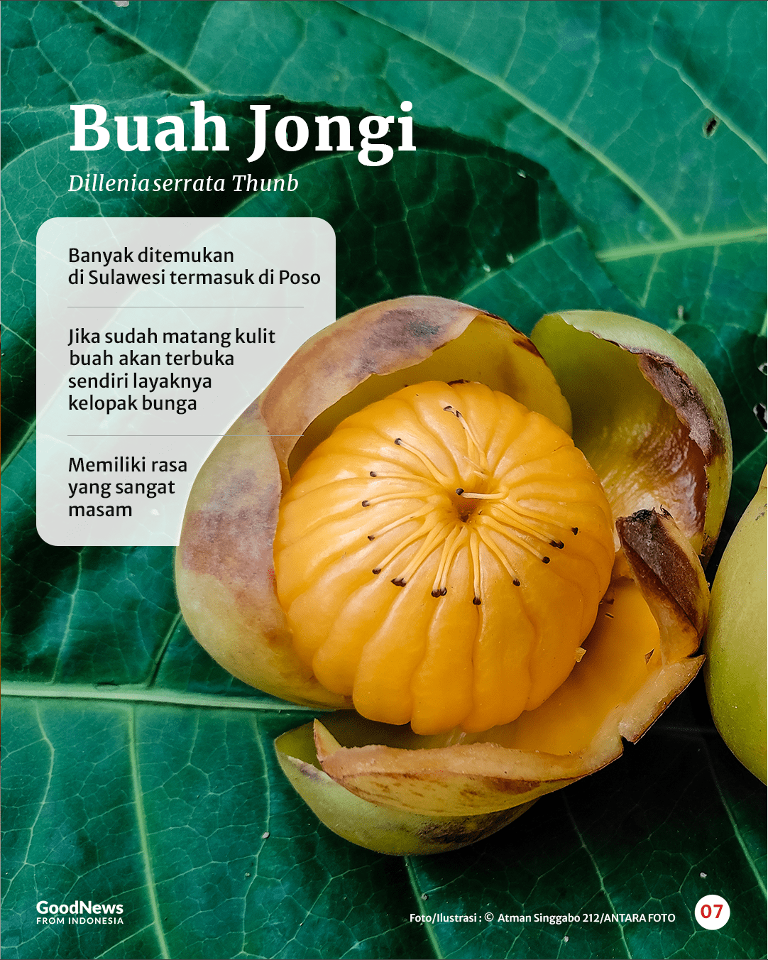 6 Buah Khas dari Hutan Indonesia