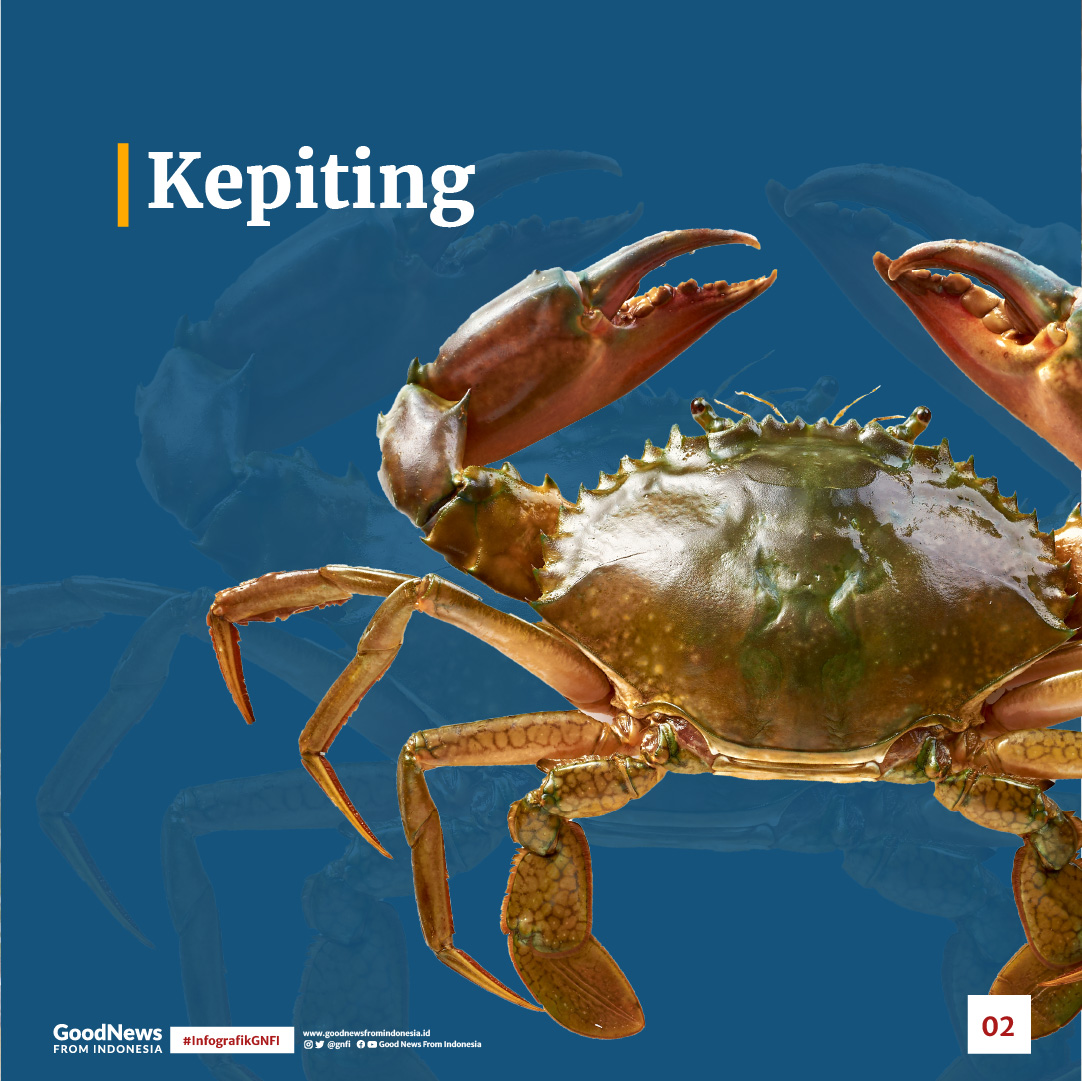 Apa Bedanya Kepiting dan Rajungan?