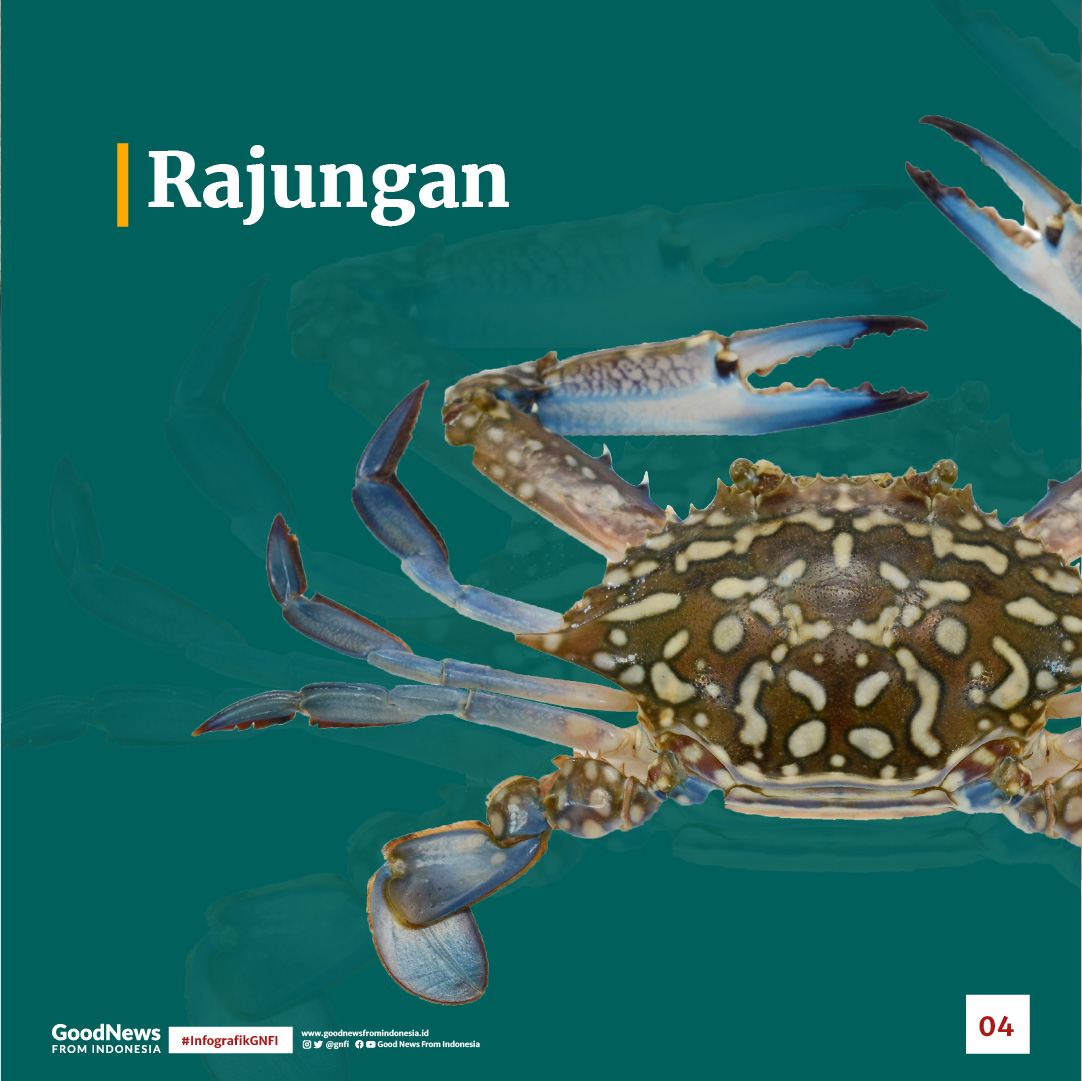 Apa Bedanya Kepiting dan Rajungan?