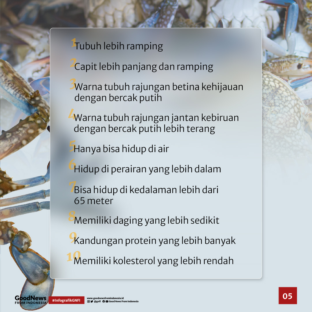 Apa Bedanya Kepiting dan Rajungan?