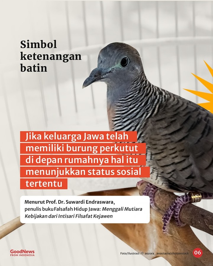 Burung Perkutut dan Ketenangan Batin Orang Jawa