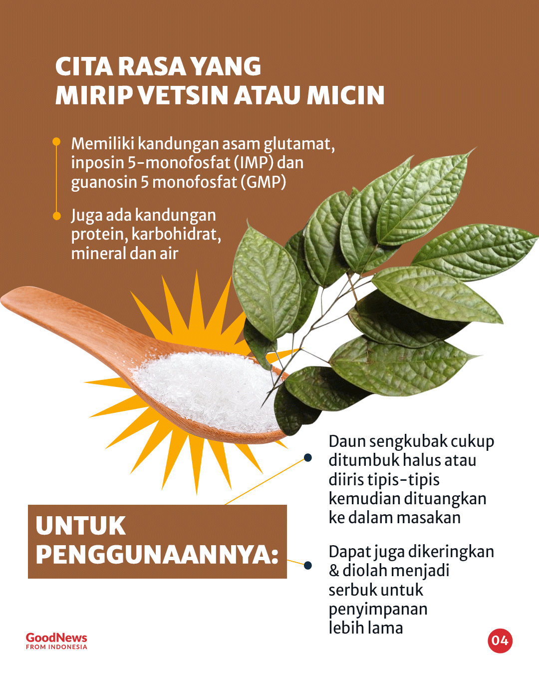 Daun Sengkubak, Penyedap Rasa Alami dari Kalimantan