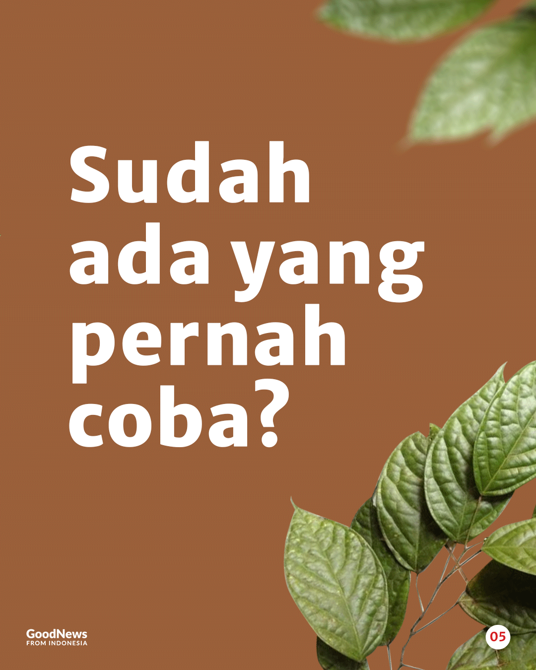 Daun Sengkubak, Penyedap Rasa Alami dari Kalimantan