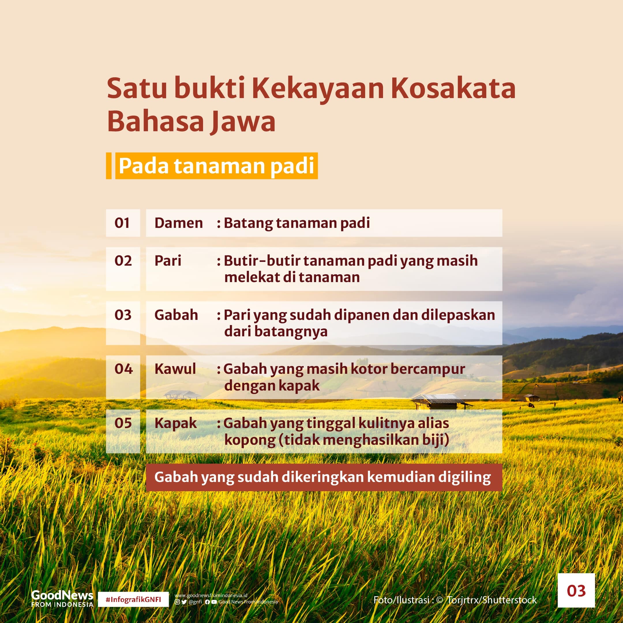 Satu Bukti Kekayaan Kosakata Bahasa Jawa