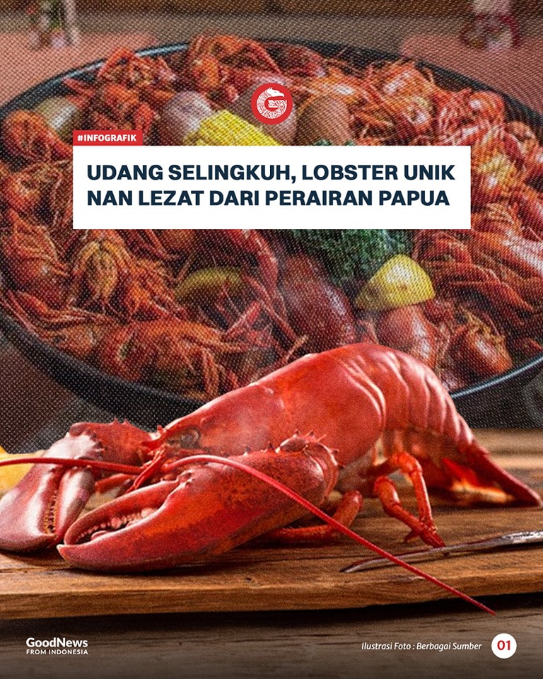 Udang Selingkuh, Lobster Unik Nan Lezat dari Perairan Papua