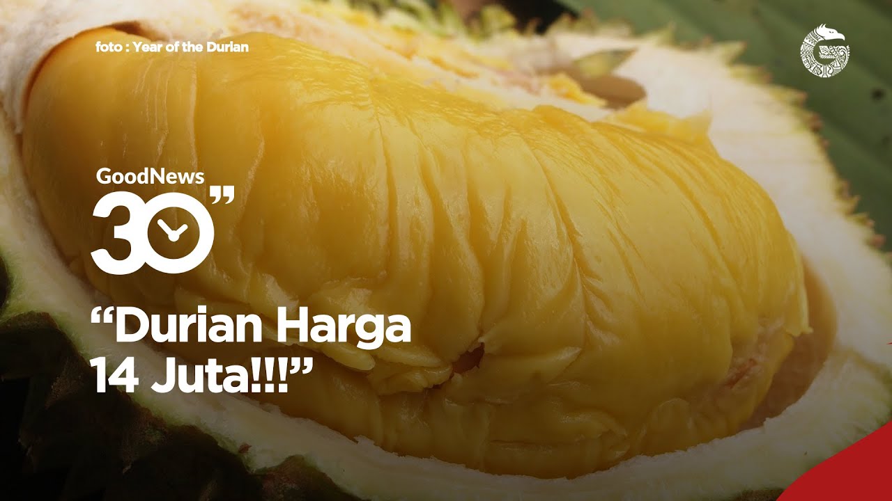 Durian Seharga 14 Juta!!!