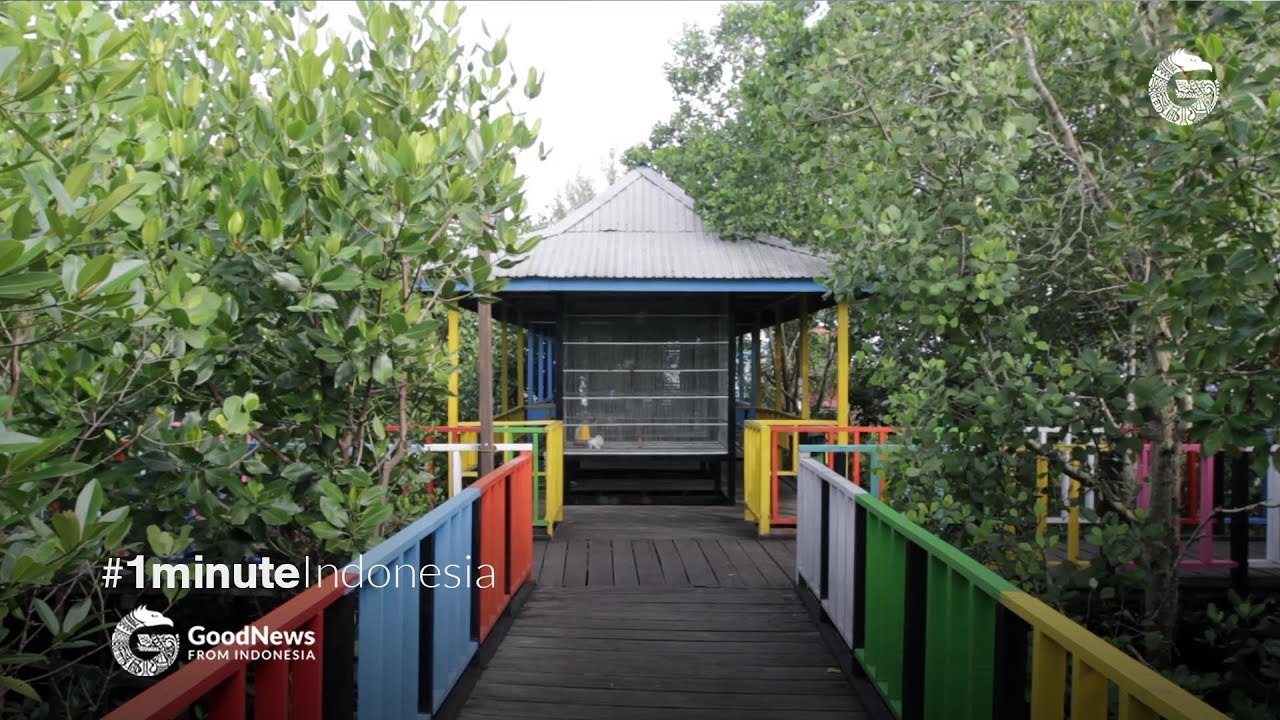 Surga Wisata di Tanah Borneo