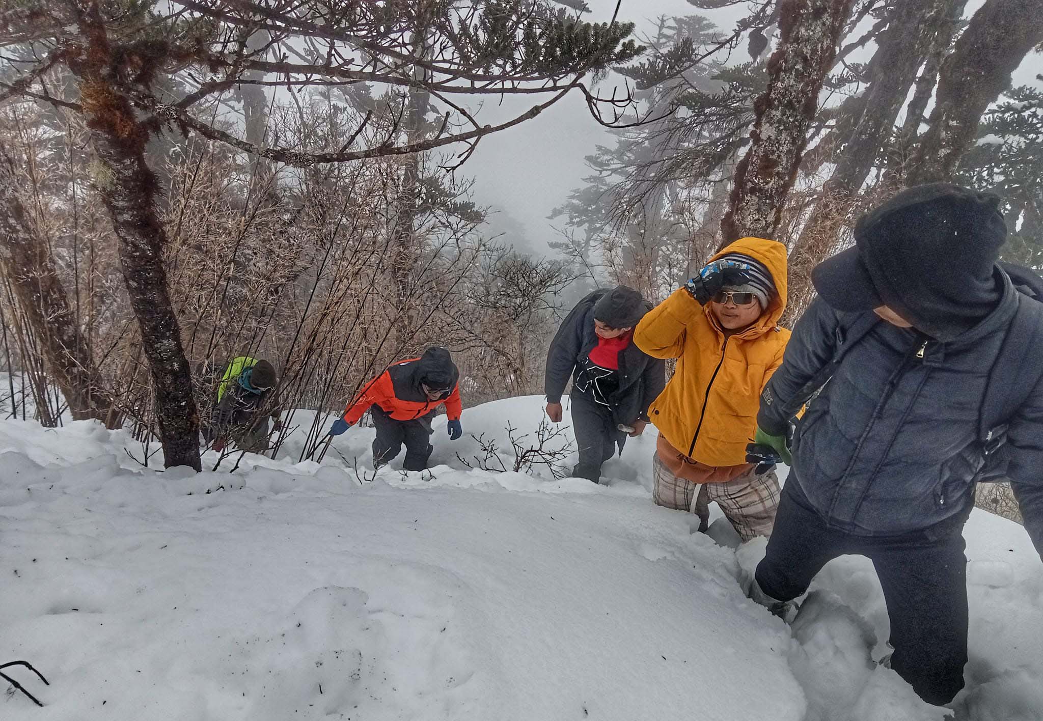 Myanmar: The Only Subtropical Oasis in Southeast Asia's - Seasia.co